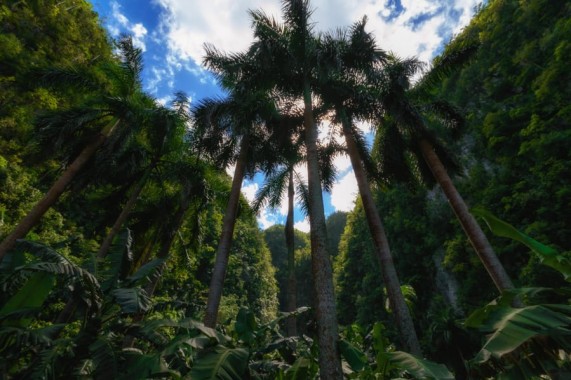 Qué Ver en Viñales en 3 o 4 Días - La Cuba de los Guajiros