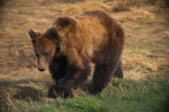 What is Aperture? Understanding Aperture in Photography