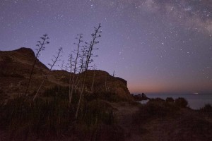 What is Noise in Photography and How to Get Rid of It in 2025