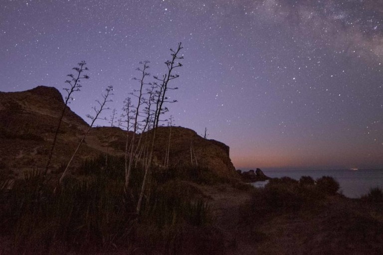 What is Noise in Photography and How to Get Rid of It in 2025