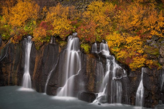Fall Photography - Best Tips and Ideas for Foliage Photos