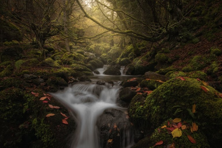 Understanding Hyperfocal Distance in Photography-How it Works?