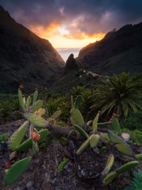 Masca, Tenerife – Complete Guide to Hiking the Masca Gorge