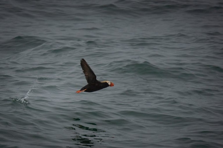 What is Shutter Speed? Understanding Shutter Speed in Photography