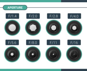 What is Aperture? Understanding Aperture in Photography