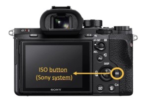 What is ISO Sensitivity? Understanding ISO in Photography