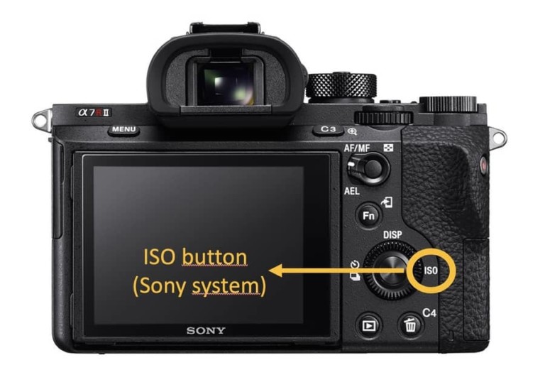 What is ISO Sensitivity? Understanding ISO in Photography