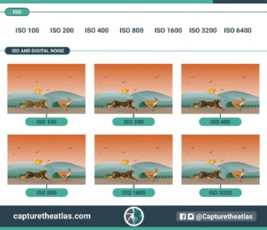 What is ISO Sensitivity? Understanding ISO in Photography