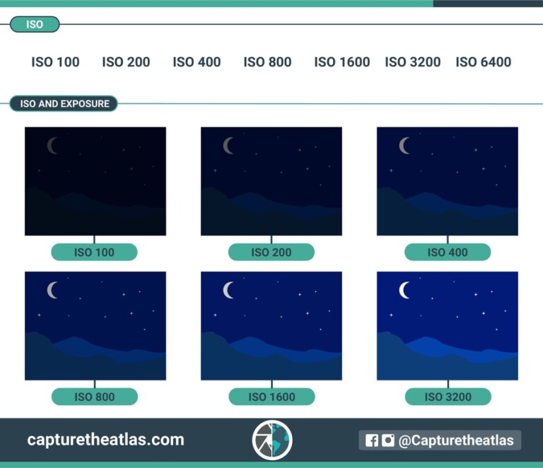 What is ISO Sensitivity? Understanding ISO in Photography