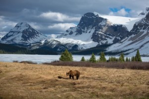 Depth of Field in Photography Explained: The Ultimate DOF Guide!