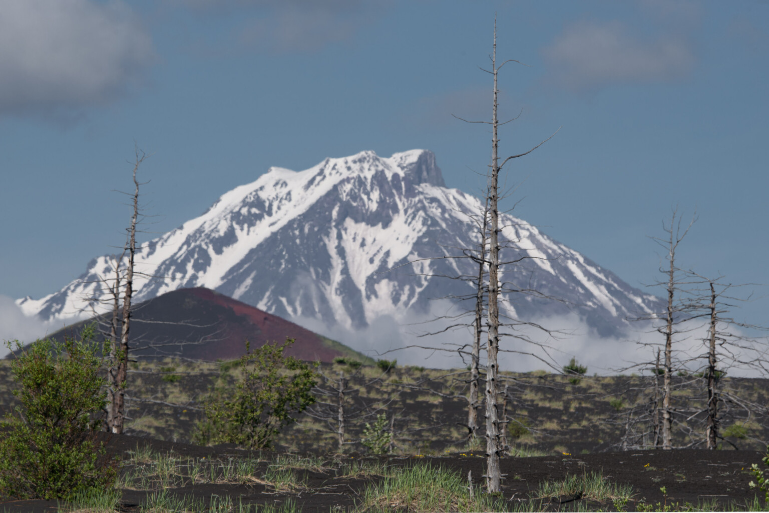 Depth of Field in Photography Explained: The Ultimate DOF Guide!