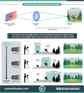 Depth of Field in Photography Explained: The Ultimate DOF Guide!