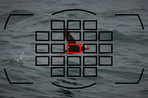 Focus Modes Explained - Understanding Camera Autofocus Modes