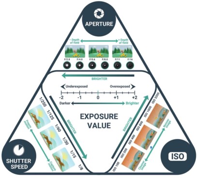 How to Take Tack-Sharp Images-Best Photography Sharpness Tips