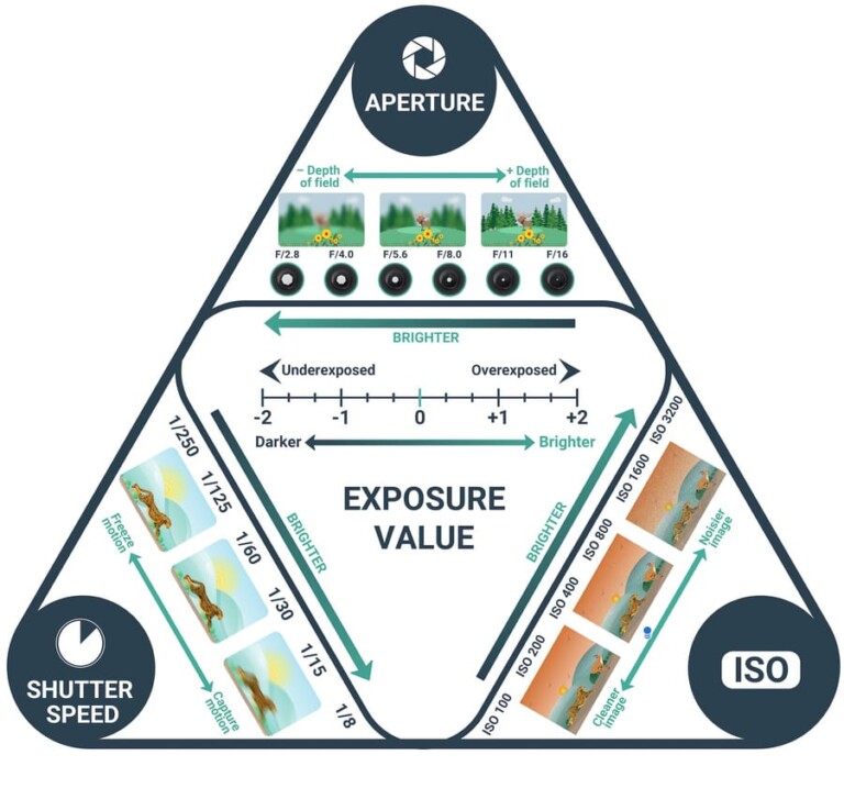 How to Take Tack-Sharp Images-Best Photography Sharpness Tips