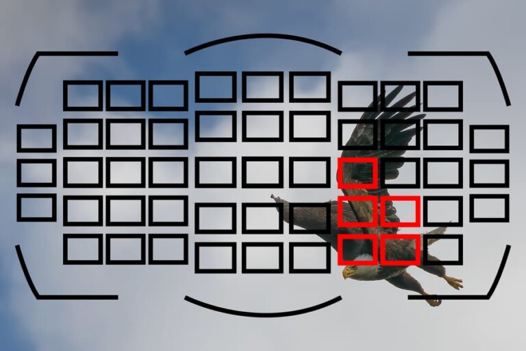 Focus Modes Explained - Understanding Camera Autofocus Modes