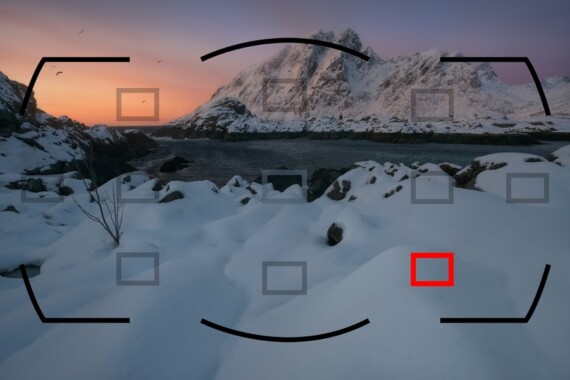 Focusing in Photography Explained - How to Focus in Photography