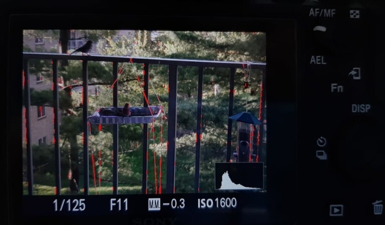 How to Take Tack-Sharp Images-Best Photography Sharpness Tips