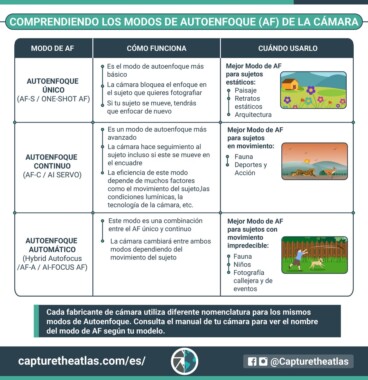 Los Modos de Enfoque Explicados-Modos y Áreas de Autoenfoque