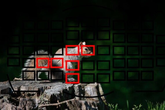 Focus Modes Explained - Understanding Camera Autofocus Modes