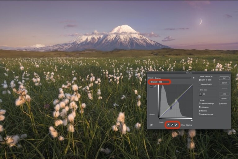 What is White Balance in Photography – Setting WB on Camera