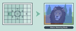 Camera Metering Modes Explained – How to Use Metering Modes