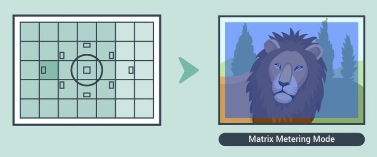 Camera Metering Modes Explained – How to Use Metering Modes