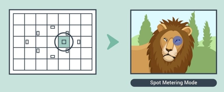 Camera Metering Modes Explained – How to Use Metering Modes