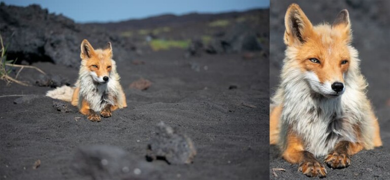 Photography Composition-Best Composition Rules in Photography