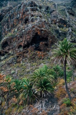 Masca, Tenerife – Complete Guide to Hiking the Masca Gorge