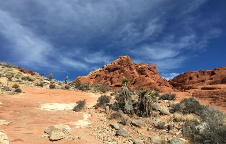 10 Best Red Rock Canyon Hikes | Red Rock Canyon Trail Map