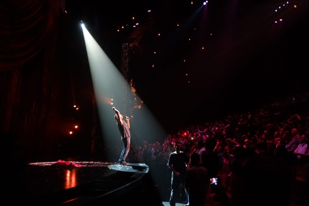 Best Shows in Las Vegas | Top Vegas Shows, Musicals + More