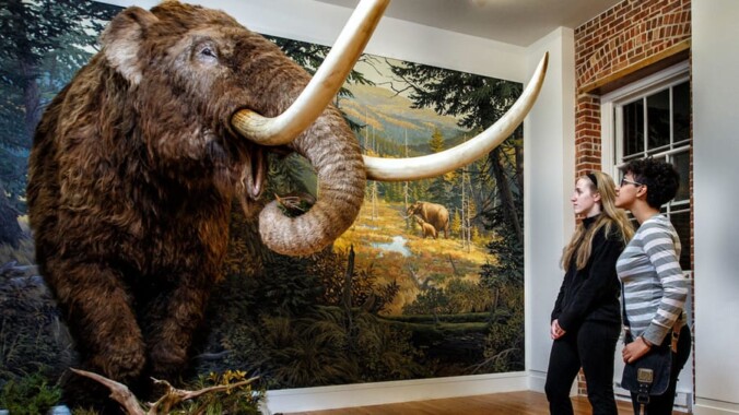 15 Best Free Museums in NYC + MAP