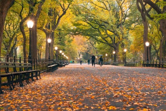 15 Best Things to Do in Central Park, NYC + MAP
