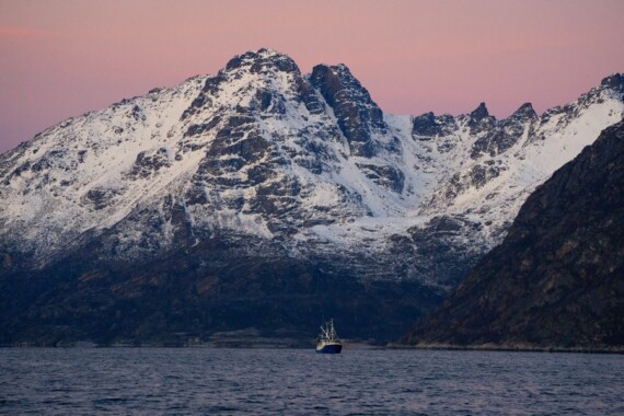 2024 Swimming with Orcas & Northern Lights in Norway