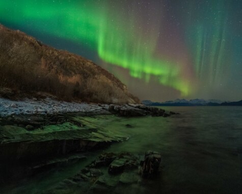 2023 Swimming with Orcas & Northern Lights in Norway