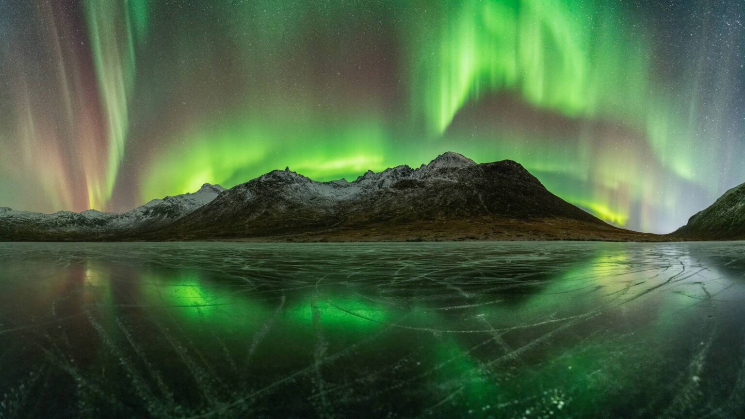 2024 Swimming with Orcas & Northern Lights in Norway