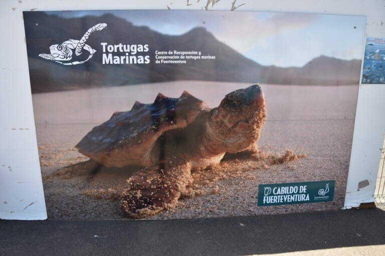 10 Best Things to Do in Morro Jable, Fuerteventura + MAP