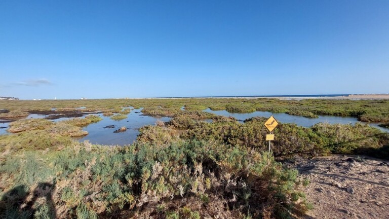 10 Best Things to Do in Morro Jable, Fuerteventura + MAP