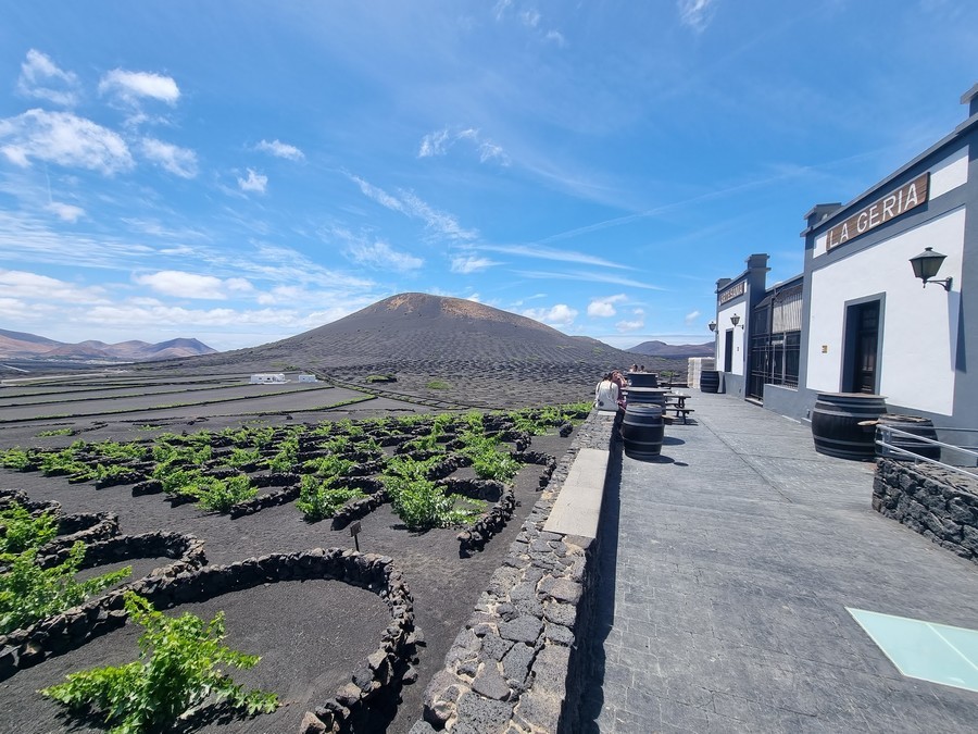 Gu a Para Visitar Las Bodegas De La Geria En Lanzarote Gu a Para Visitar Las Bodegas De La Geria En Lanzarote