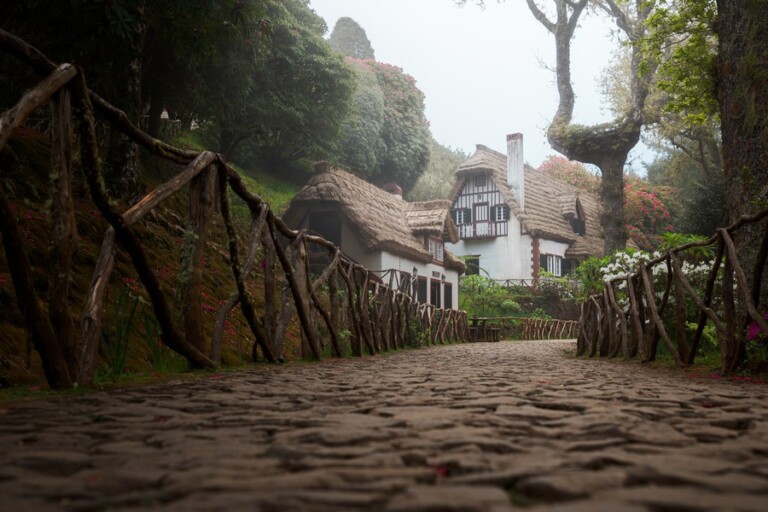 2026 Madeira Photo Tour - Enchanted Forests, Peaks & Coasts