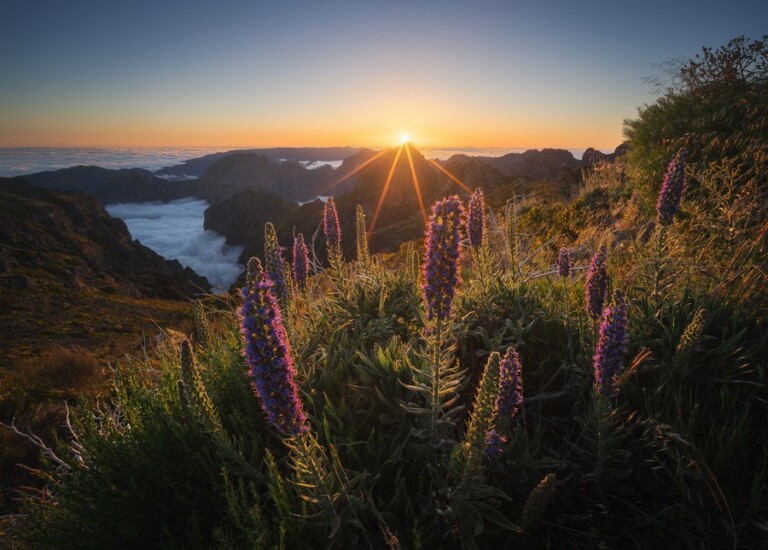 2026 Madeira Photo Tour - Enchanted Forests, Peaks & Coasts