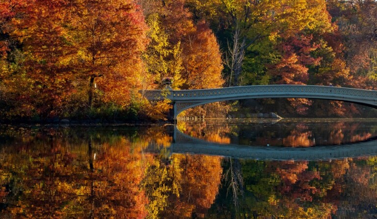 Guide to Fall in NYC – Best Things to Do, Events & Tips