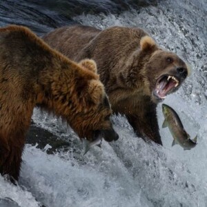 10 Lugares Que Ver en Staten Island + Mapa