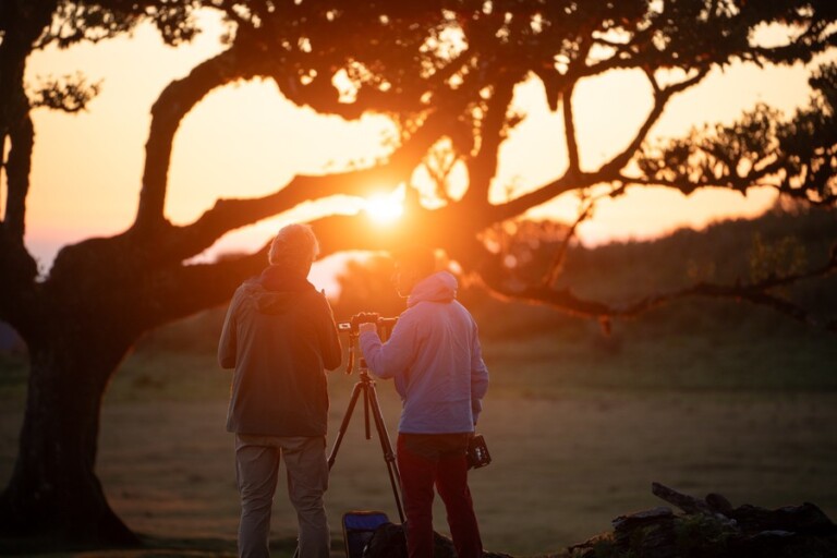 2026 Madeira Photo Tour - Enchanted Forests, Peaks & Coasts