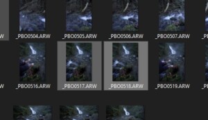 Focus Stacking in Photography – Step by Step Tutorial