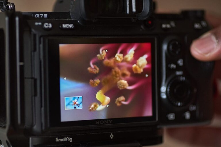 Focus Stacking in Photography – Step by Step Tutorial