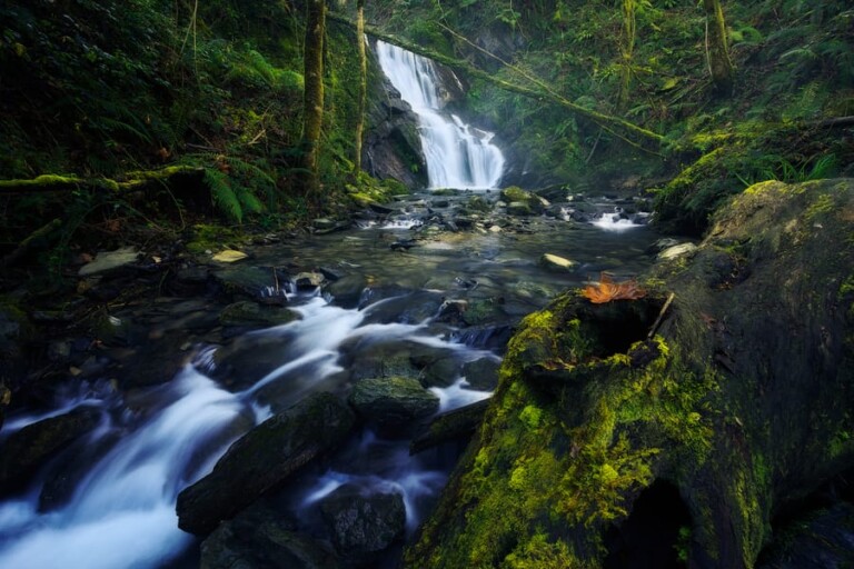 Focus Stacking in Photography – Step by Step Tutorial