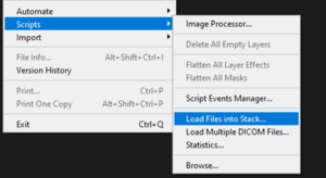 Focus Stacking in Photography – Step by Step Tutorial