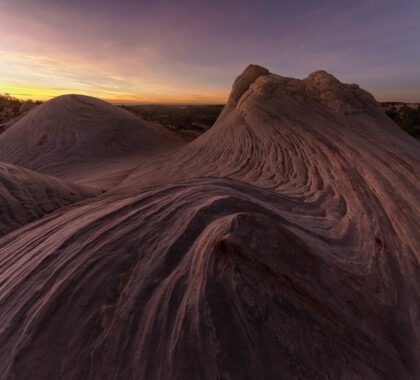 Focus Stacking in Photography – Step by Step Tutorial